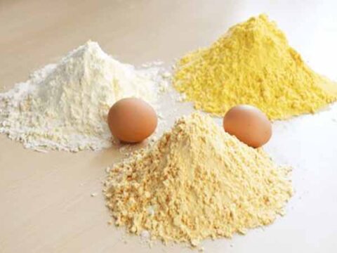 Egg Powder Dehydration Machine - Food Tech Projects