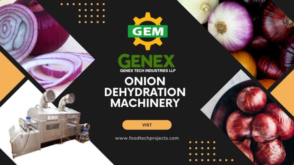 Onion Dehydration - Food Tech Projects